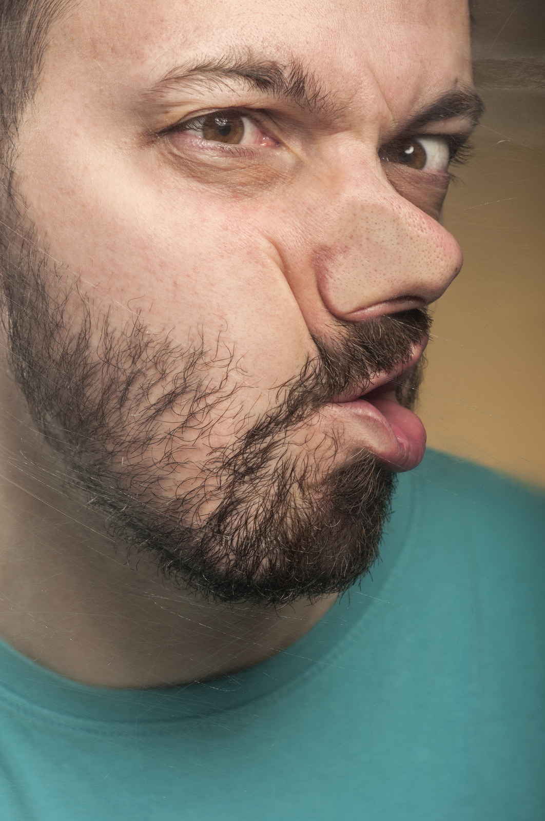 Amazing New Therapy: Press Face Against Aquarium! – A Splash of Love….